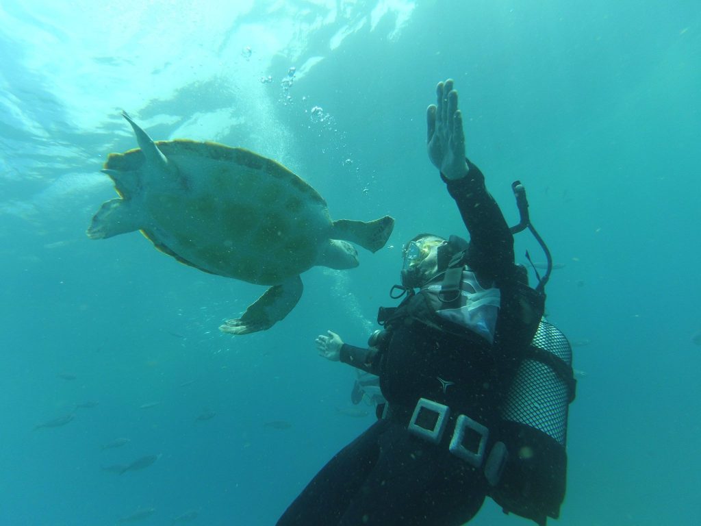 18 Diving Atlantis | RUSHKULT