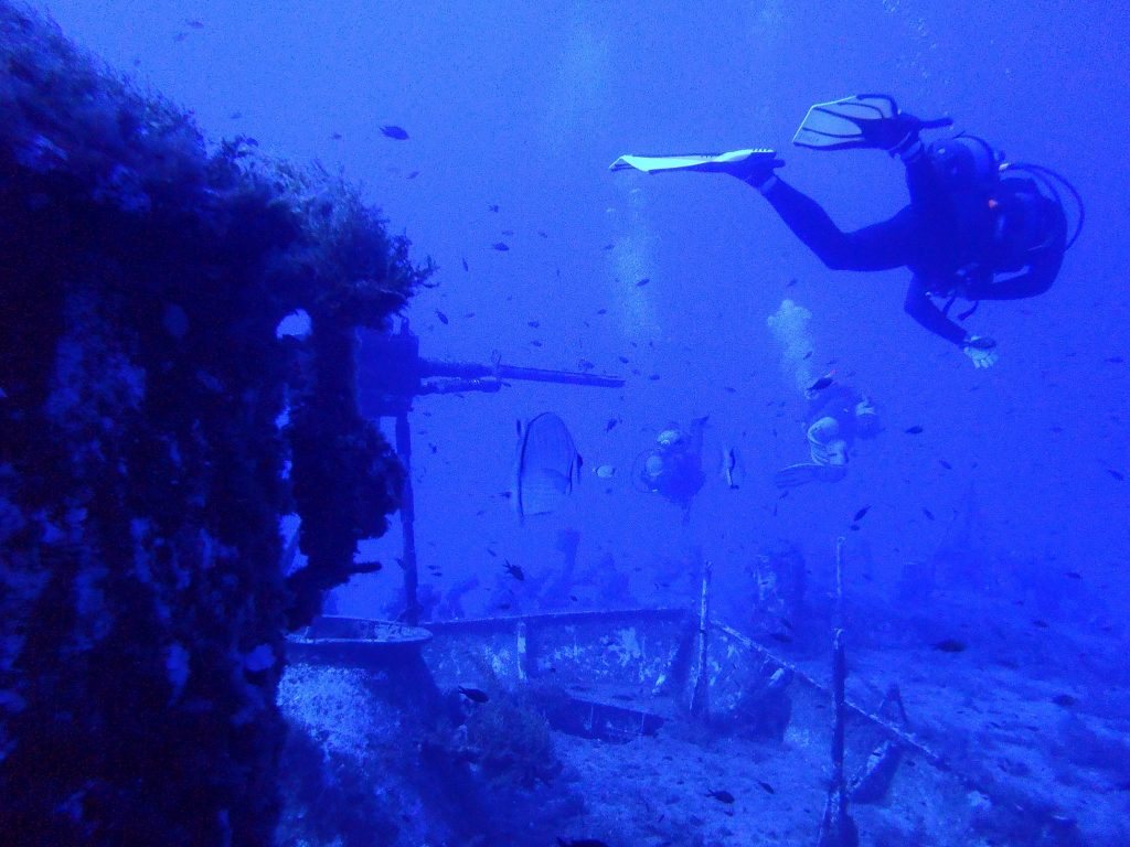 22 Dive Malta | RUSHKULT