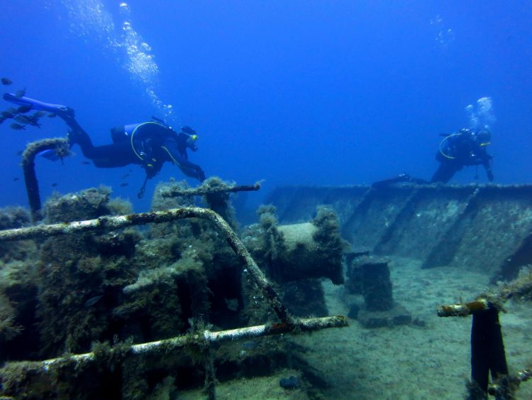 25 Dive Malta | RUSHKULT