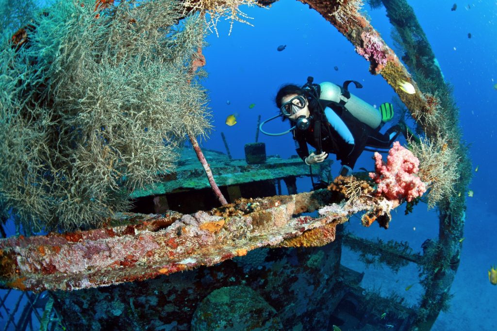 4 Camia wreck | RUSHKULT