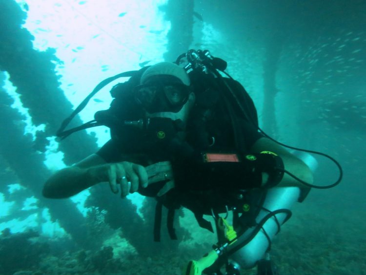 6 Indepth Dive College | RUSHKULT