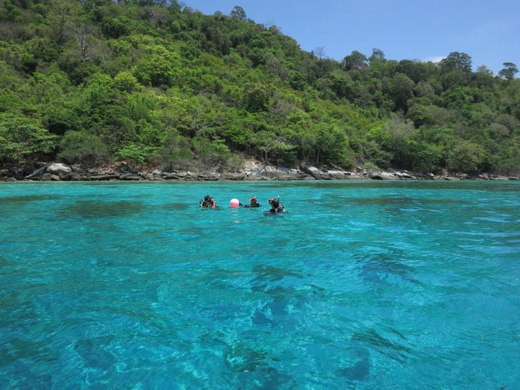 8 Indepth Dive College | RUSHKULT