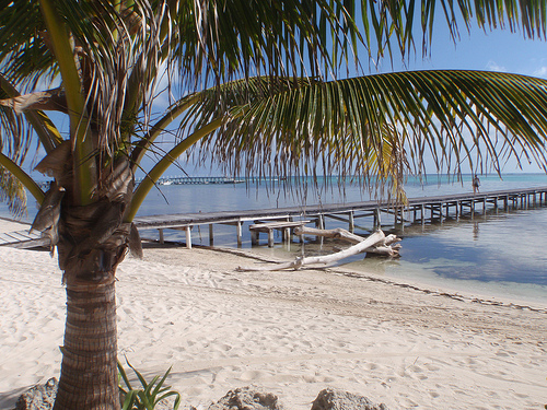 Ambergris Caye belize beach | RUSHKULT