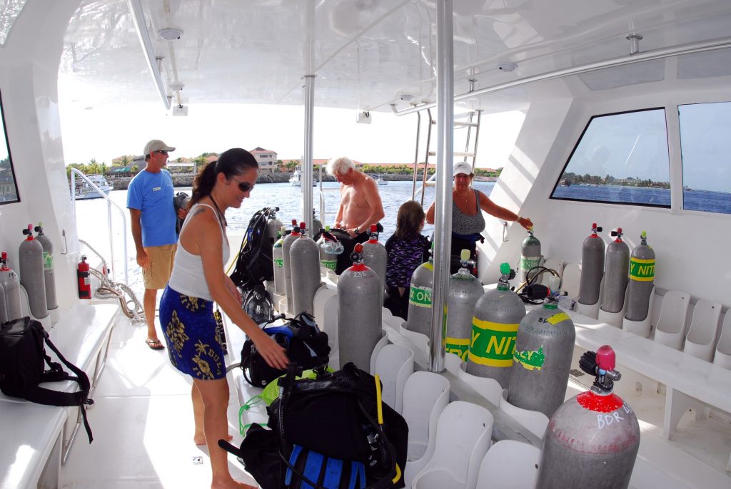 Dive Buddy Interior | RUSHKULT