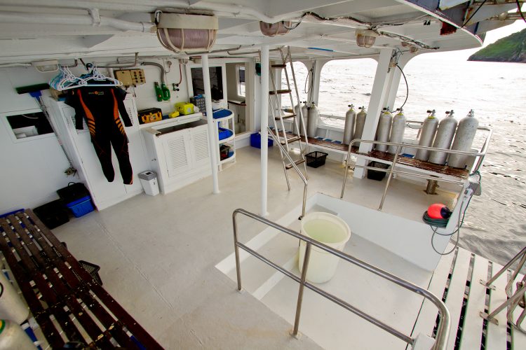 Dive deck 3 | RUSHKULT