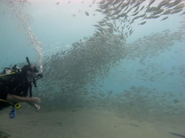 Diver under Salang Jetty | RUSHKULT