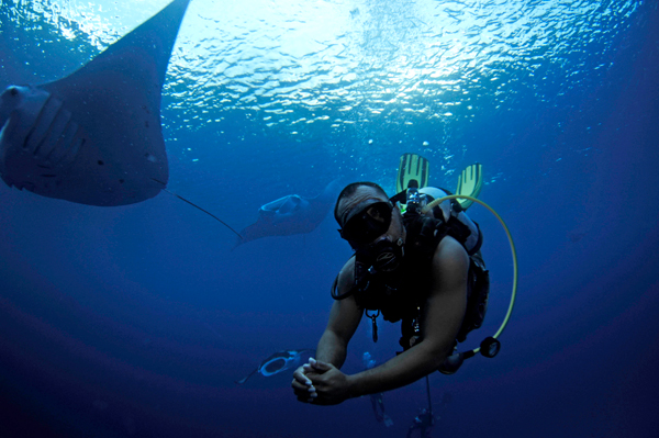 Diving With Manta Rays in Palau | RUSHKULT