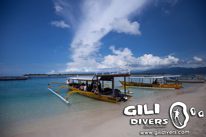 Gili Divers 3 | RUSHKULT