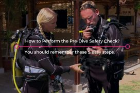 Your Reminder on How To Do The Pre-Dive Safety Check | Video | RUSHKULT