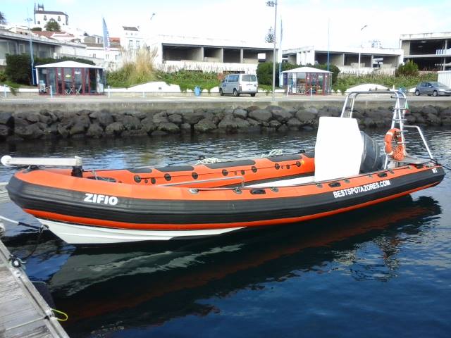 best dive spot azores boat | RUSHKULT