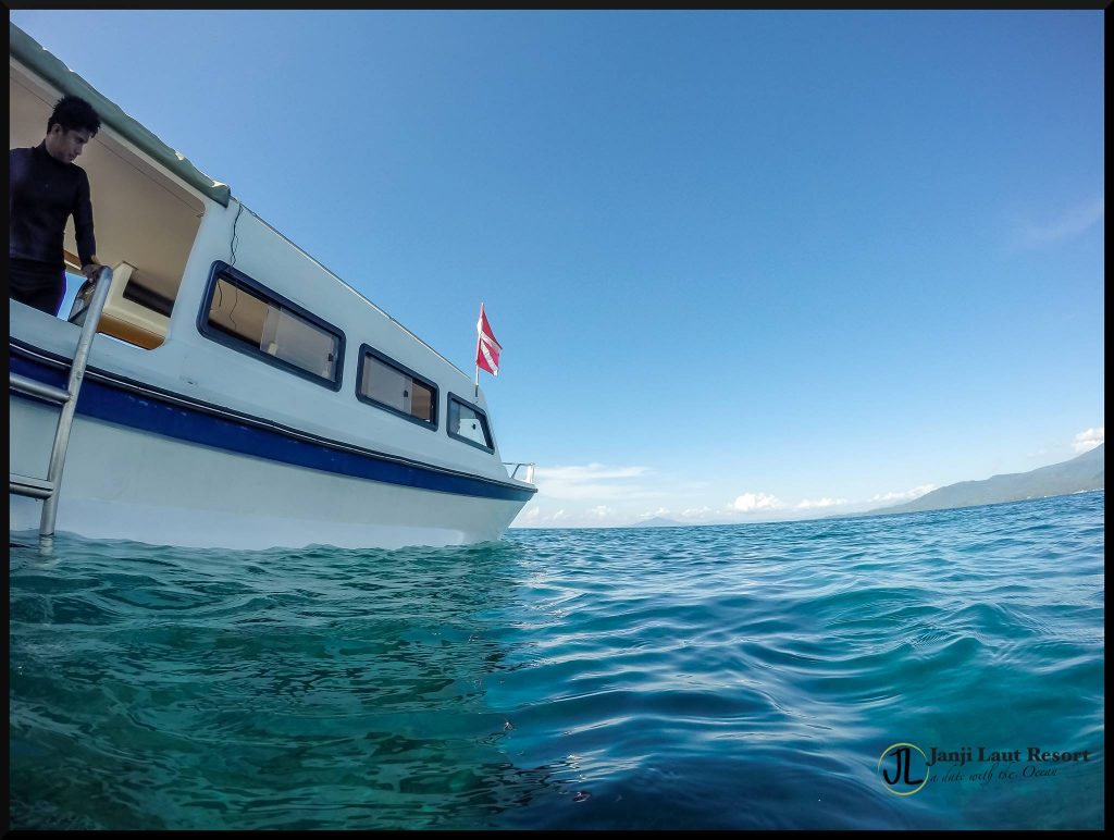 boat dive 2 | RUSHKULT