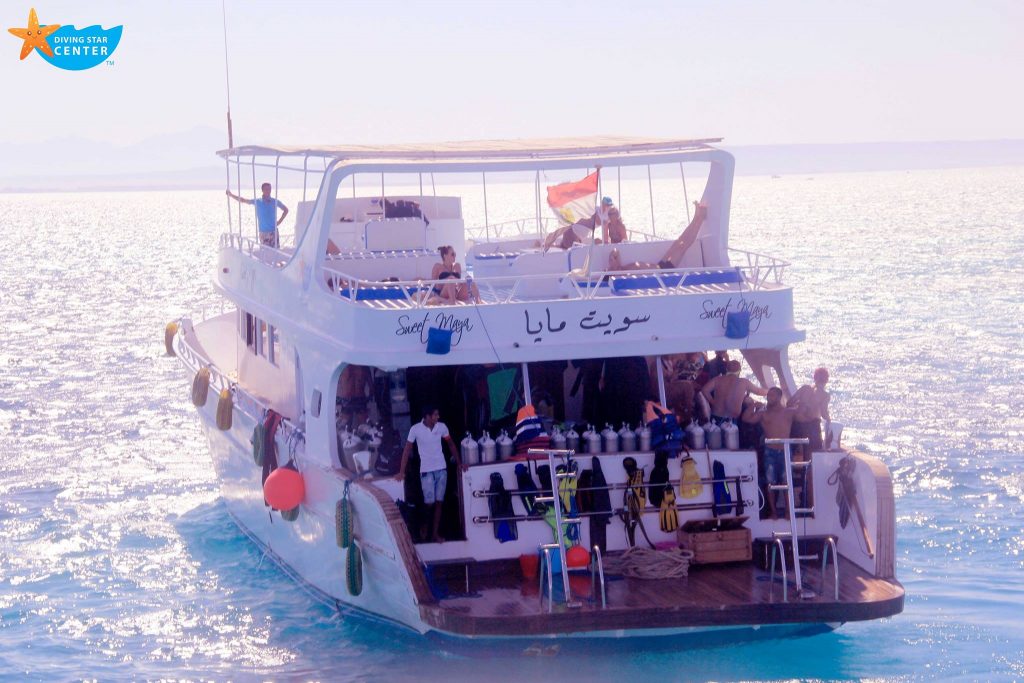 boat dive trip egypt | RUSHKULT