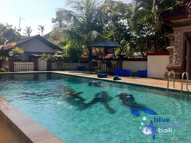 bsb wall and pool | RUSHKULT