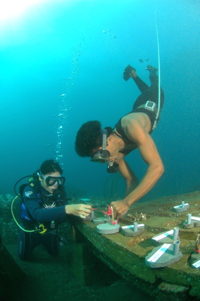 building reef | RUSHKULT