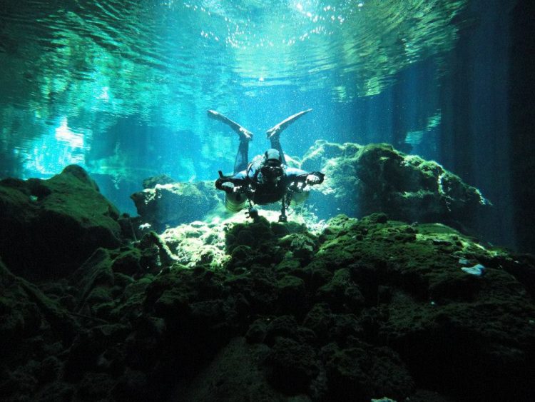 cenote diving | RUSHKULT