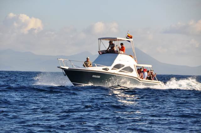 dive boat 22 | RUSHKULT