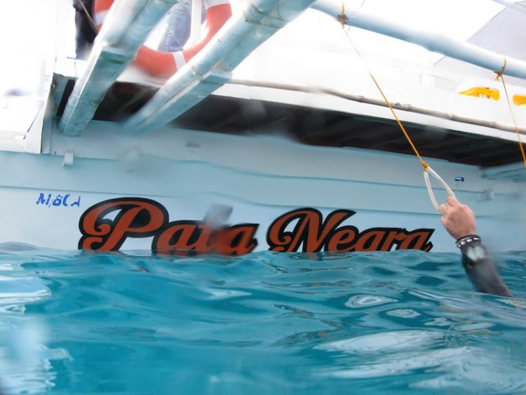 dive boat 3 | RUSHKULT