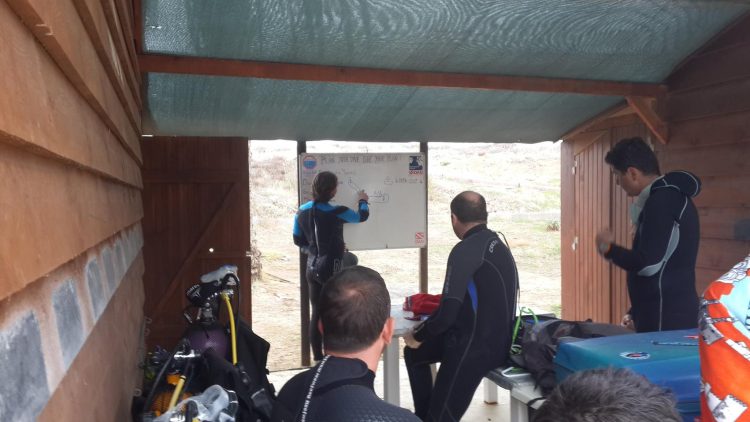 dive briefing | RUSHKULT