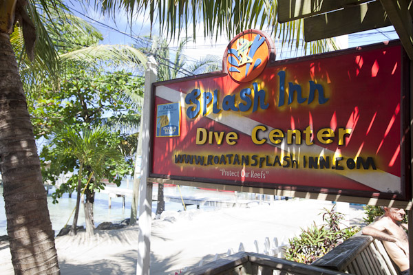 dive center roatan | RUSHKULT