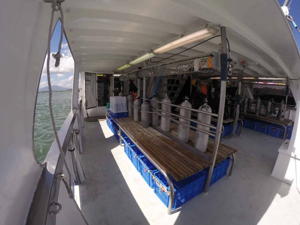 dive deck | RUSHKULT