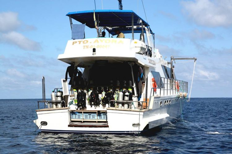 dive deck nortada | RUSHKULT