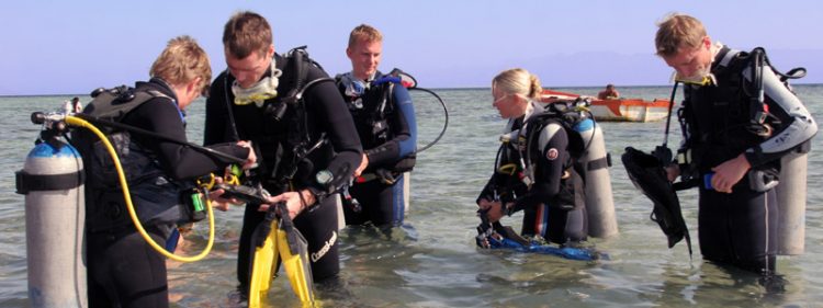 divers 14 | RUSHKULT