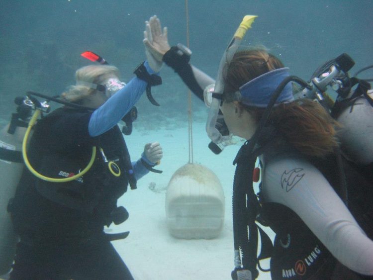 divers XTC Dive Center | RUSHKULT