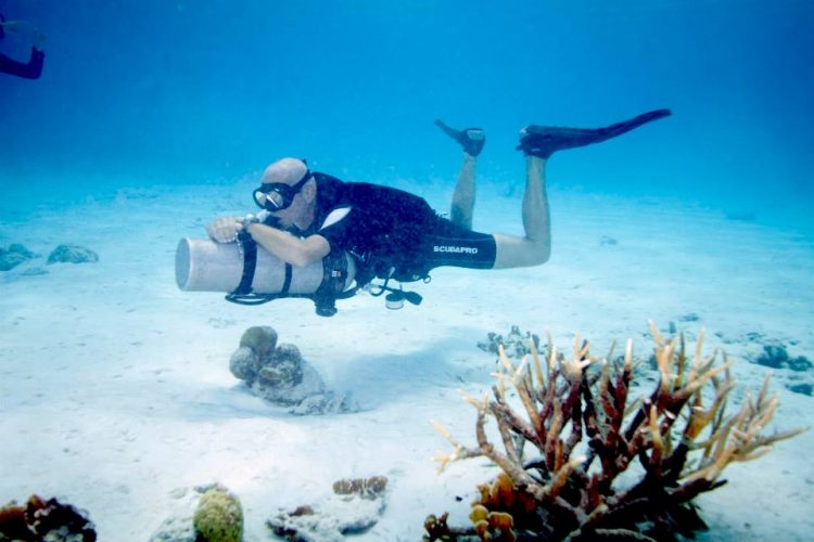 frontmount scuba dive bonaire | RUSHKULT