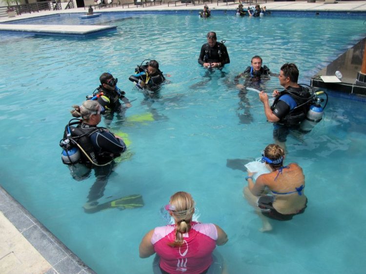 in the pool | RUSHKULT