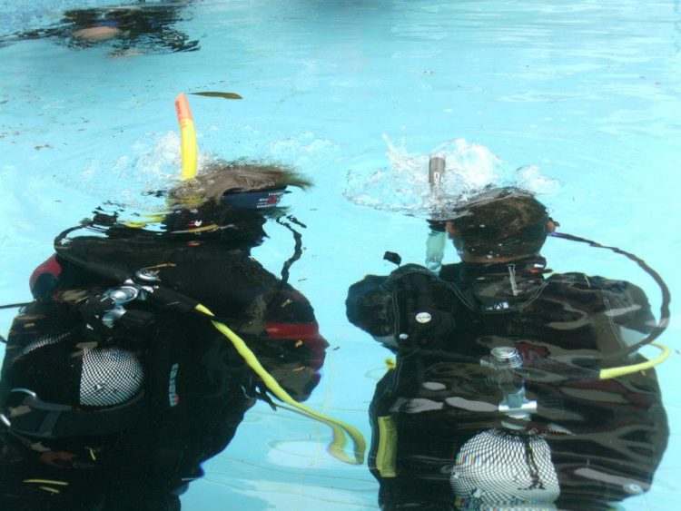 in the pool 1 | RUSHKULT