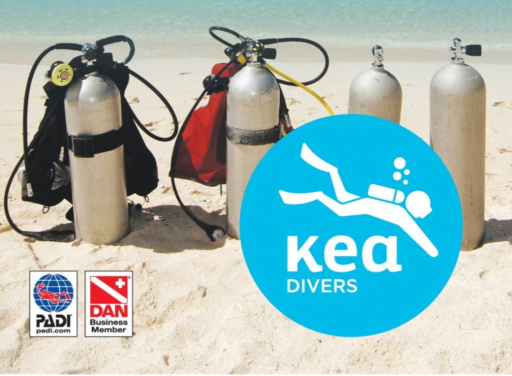 kea divers | RUSHKULT