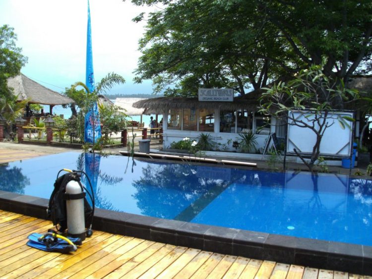 pool at dream divers | RUSHKULT