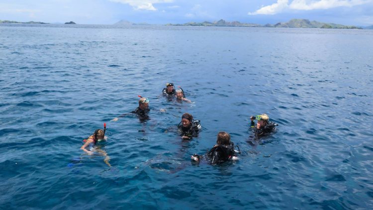 scuba diver komodo | RUSHKULT