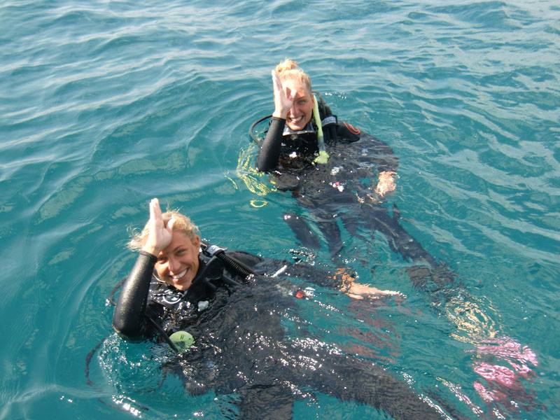 shark divers | RUSHKULT