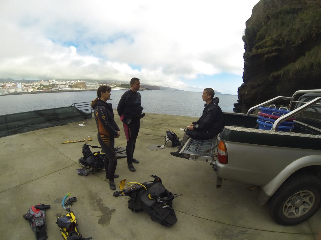 shore dive azores | RUSHKULT