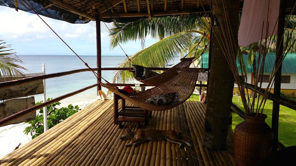 sun deck carabao | RUSHKULT