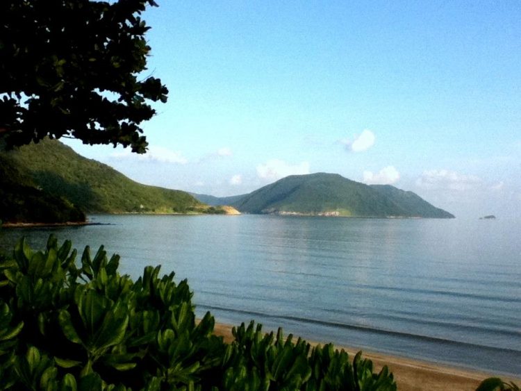 the island | RUSHKULT