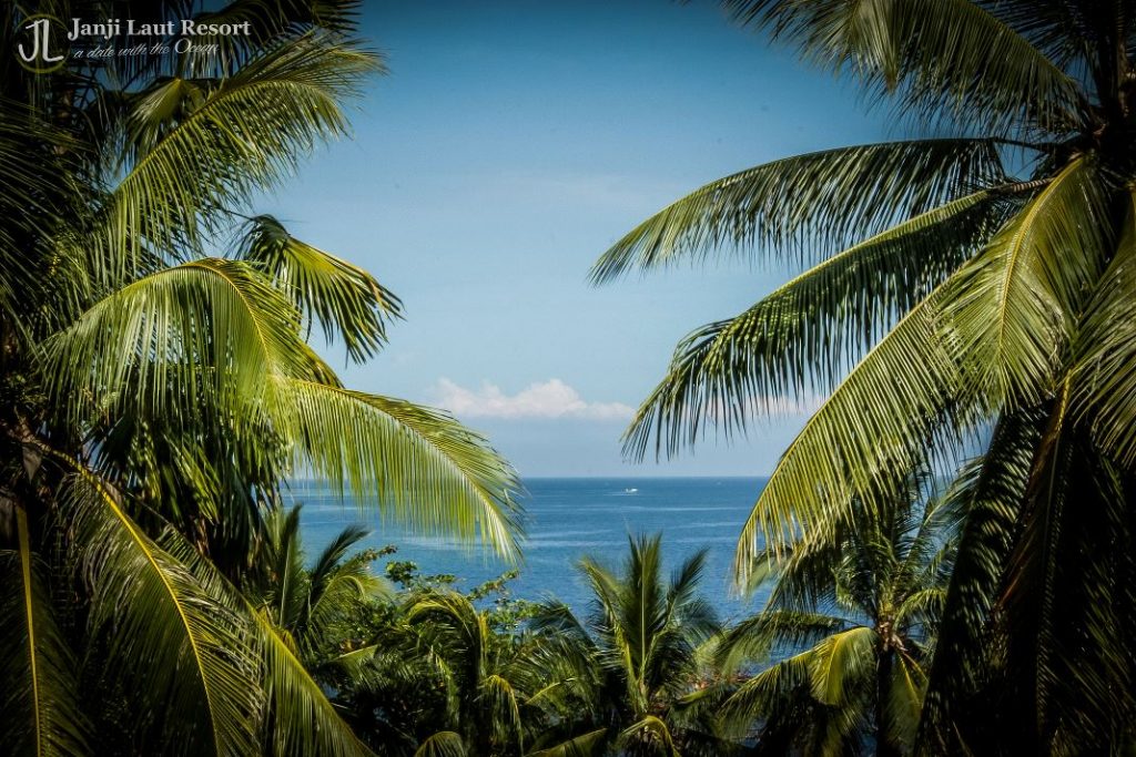 view manado 2 | RUSHKULT