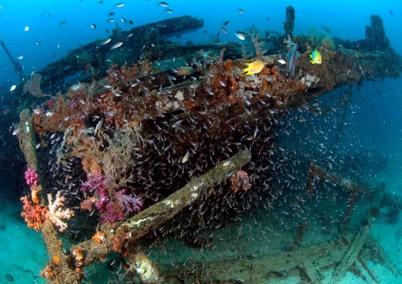 wreck dive tioman | RUSHKULT