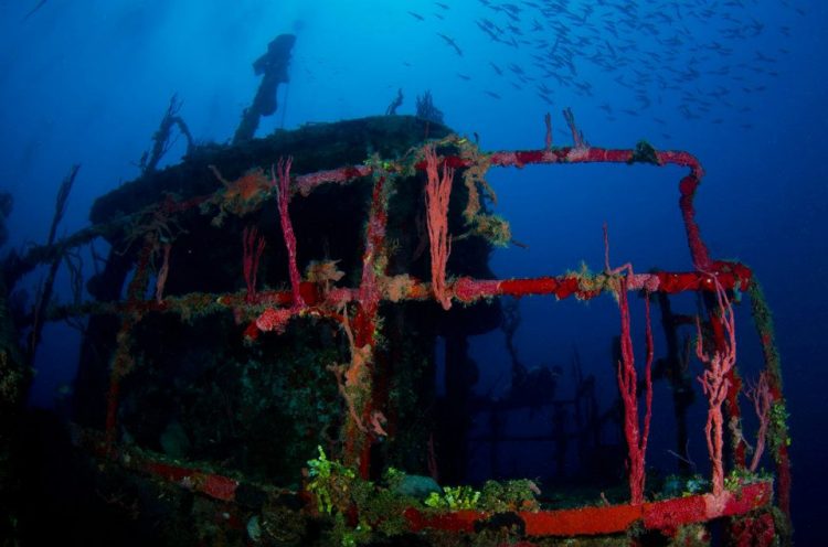 wreck dive utila | RUSHKULT