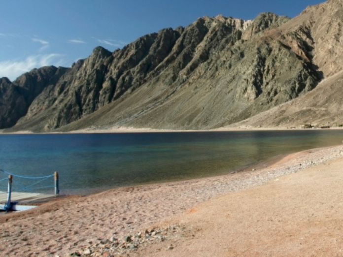 Shore Diving Done Right | RUSHKULT