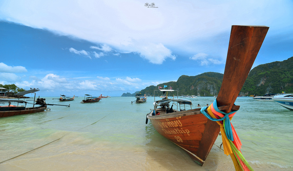 Phuket Best diving in Thailand 5 | RUSHKULT